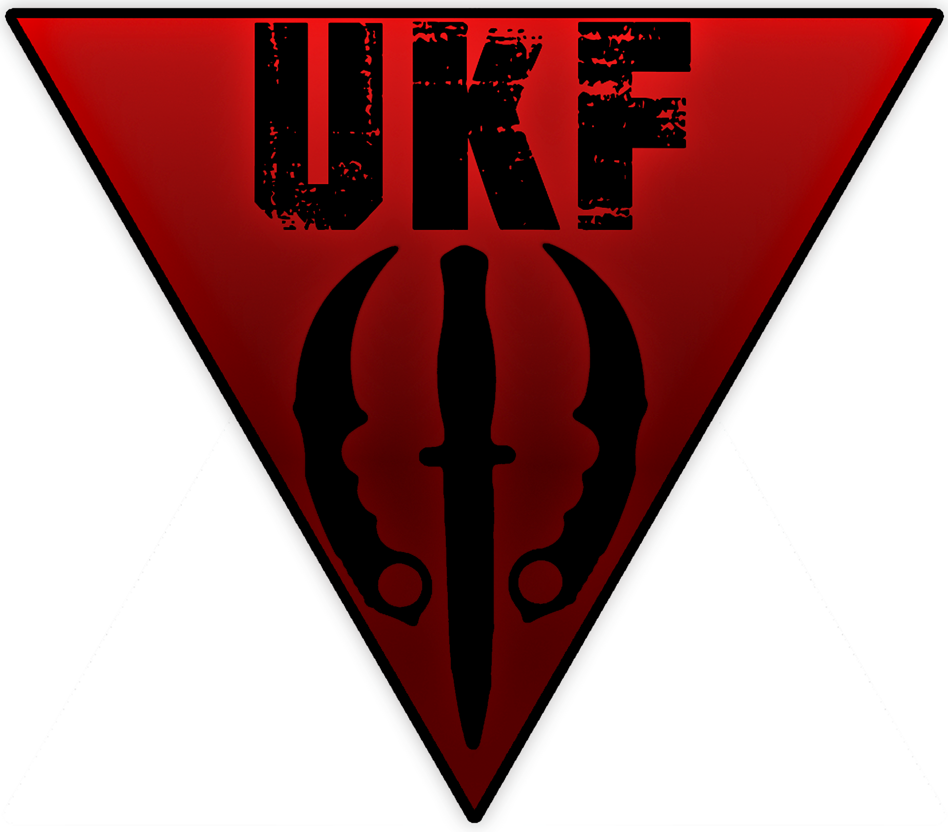 Page d'Accueil Fighting AC